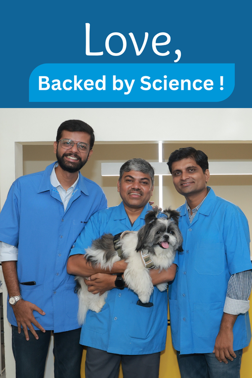PET360 | Supplement for Dogs and Cats | Pet Supplements | omega 3+6